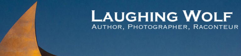 Decisions – The Laughing Wolf