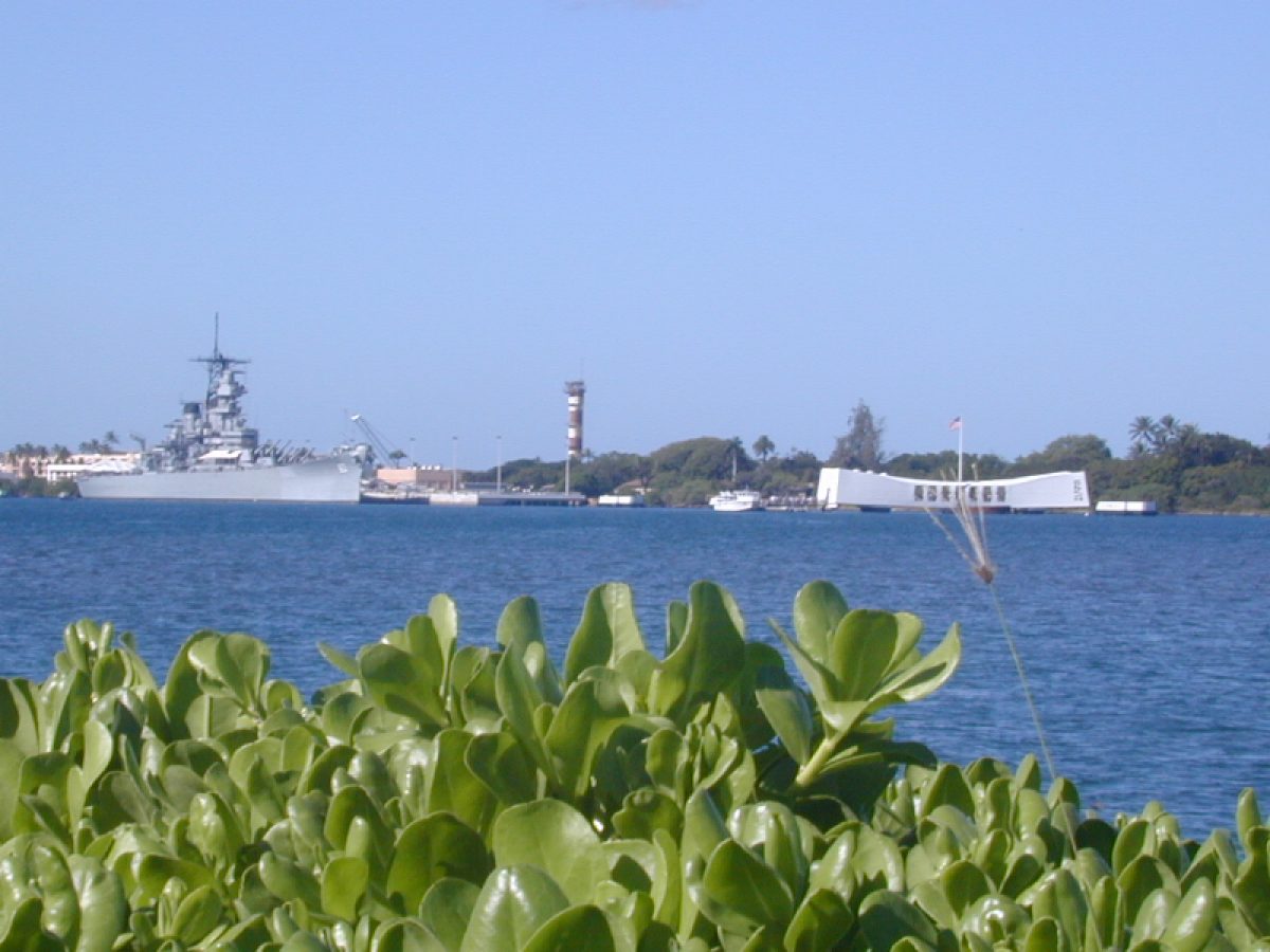 History – The Laughing Wolf